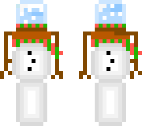 Snow Globe Head | Minecraft Skin