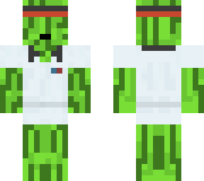 Tennis | Minecraft Skin