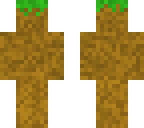 Dirt Skin | Minecraft Skin