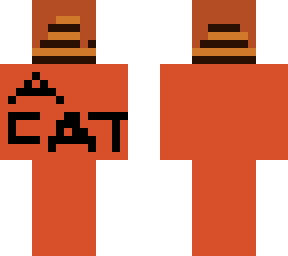 pancake head | Minecraft Skins