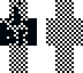 Checkerboard Skin | Minecraft Skin