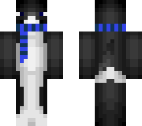 Orca | Minecraft Skin