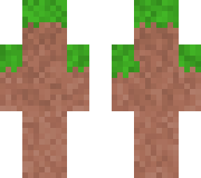 Earth Block dude | Minecraft Skin