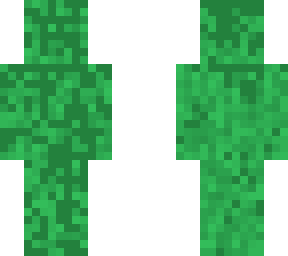 Grass Skin | Minecraft Skin