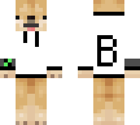 Dogge the meme | Minecraft Skin