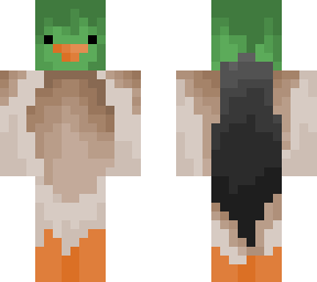 A mallard | Minecraft Skin