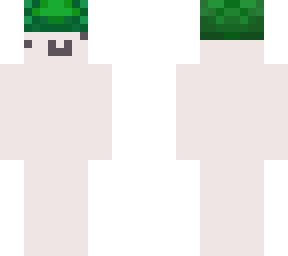 reg skin | Minecraft Skin