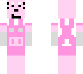 Widget | Minecraft Skin