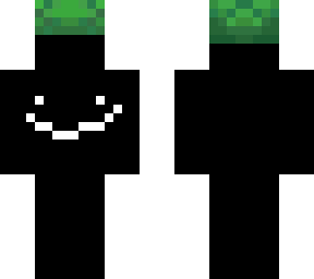 Turtle Hat | Minecraft Skin