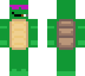 Stoner Turtle | Minecraft Skin