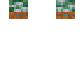 Succulent head | Minecraft Skin