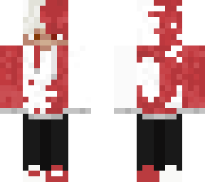 Half red half white | Minecraft Skin
