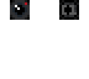 camera head | Minecraft Skin