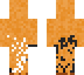 The poor guy got splattered | Minecraft Skin