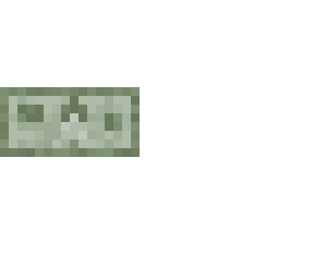 Dollar Bill | Minecraft Skin