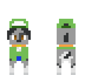 Paw Patrol Rocky | Minecraft Skin