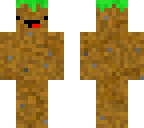 Grass Block Derp | Minecraft Skin