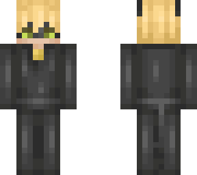cat noir | Minecraft Skins