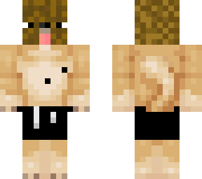 shih tzu | Minecraft Skin