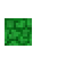 Turtle shell on your belly | Minecraft Skin