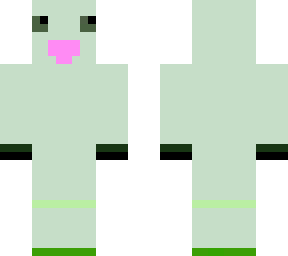 phrog sqin | Minecraft Skin