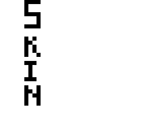 S-.-K-.-I-.-N | Minecraft Skin
