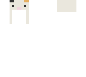 Cat Hat | Minecraft Skin