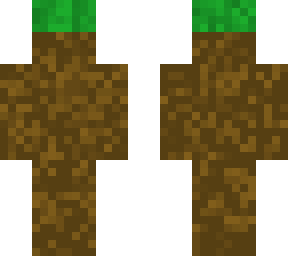DIRT BLOCK | Minecraft Skin