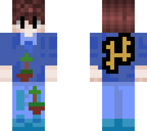 Hypixel skyblock skin | Minecraft Skin