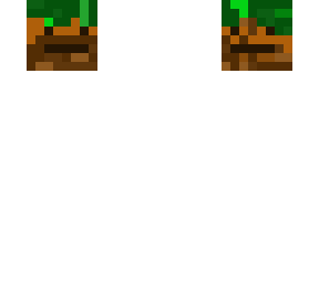 graspoppetje | Minecraft Skin