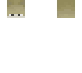 Head / PfP | Minecraft Skin
