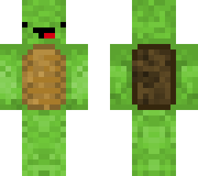 Derp Turtle | Minecraft Skin