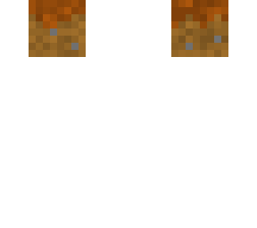 podzol Micro block | Minecraft Skin
