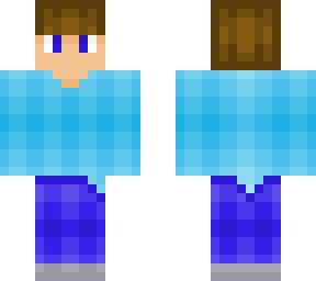 Custom Steve | Minecraft Skin