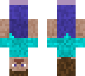 Steve Upside Down Minecraft Skins