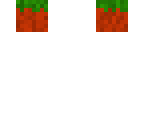 grass block template | Minecraft Skin