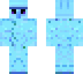dis | Minecraft Skin