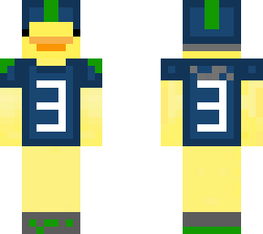 Seahawk Duck | Minecraft Skin