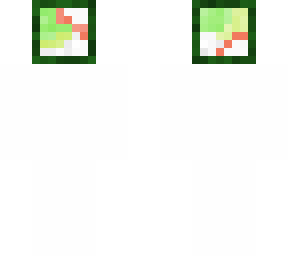 California roll | Minecraft Skin