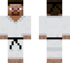 karate steve | Minecraft Skins