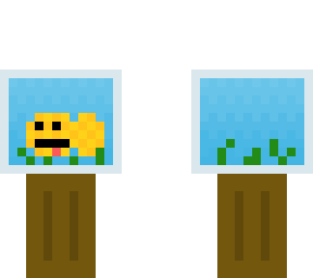 The portable fish tank . w . | Minecraft Skin