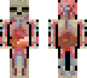 Internal Anatomy of a Human | Minecraft Skin