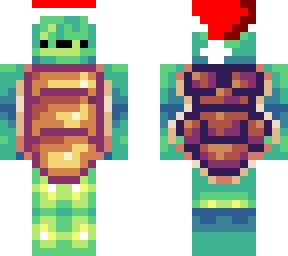 Derp Turtle | Minecraft Skins