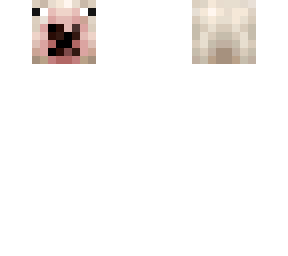 dog meme | Minecraft Skin