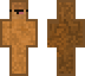 derp toast | Minecraft Skins