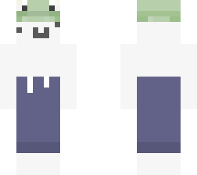 derp with a frog hat | Minecraft Skin