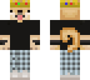 King dogo | Minecraft Skin