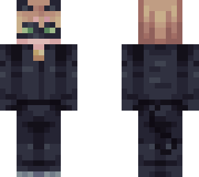 Cat Noir | Minecraft Skin