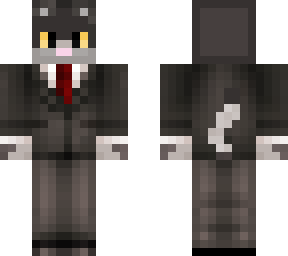 Cat Suit | Minecraft Skins