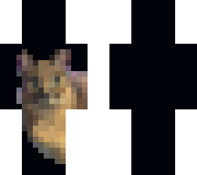 floppa | Minecraft Skin